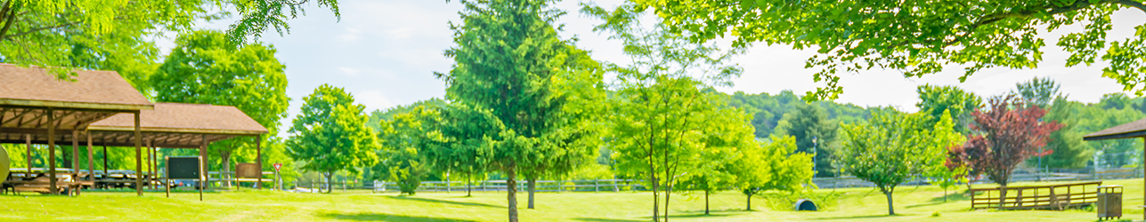 Strasburg Town Park Shelter Fees and Regulations | Strasburg, VA